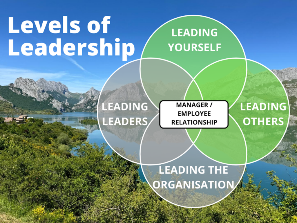 Case Study: Developing Leaders and a Framework to Deliver Change